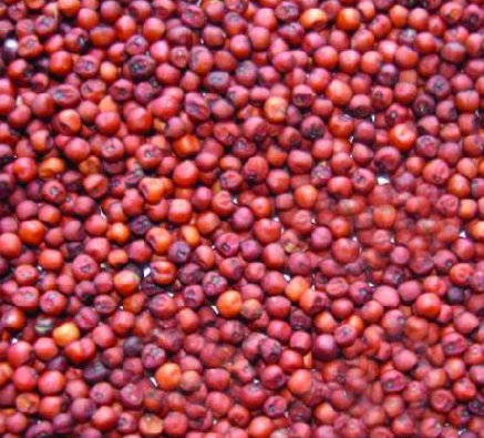 UGT-10 Millet Threshing Machine Millet Thresher